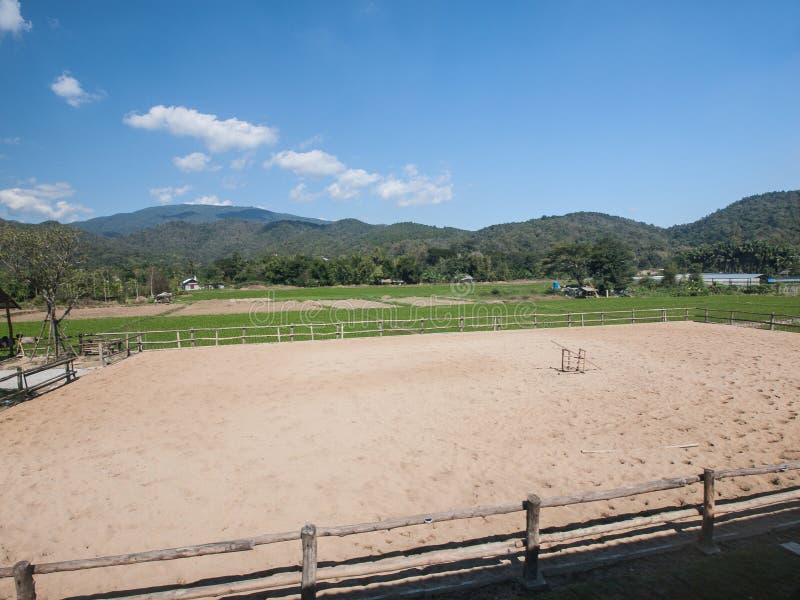 Horse training ground stock image. Image of park, farm - 93285265