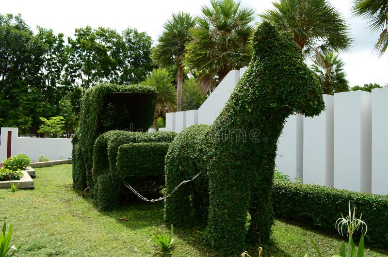 The horse tree form stock image. Image of decoration - 25053229