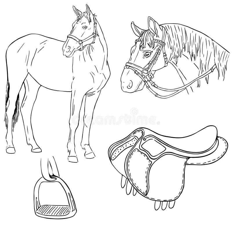 Horse Head With Bridle Vector Hand Drawing Illustration Stock Vector ...
