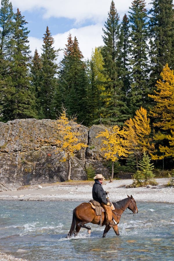 Horseback Rider stock image. Image of western, animal - 3320825