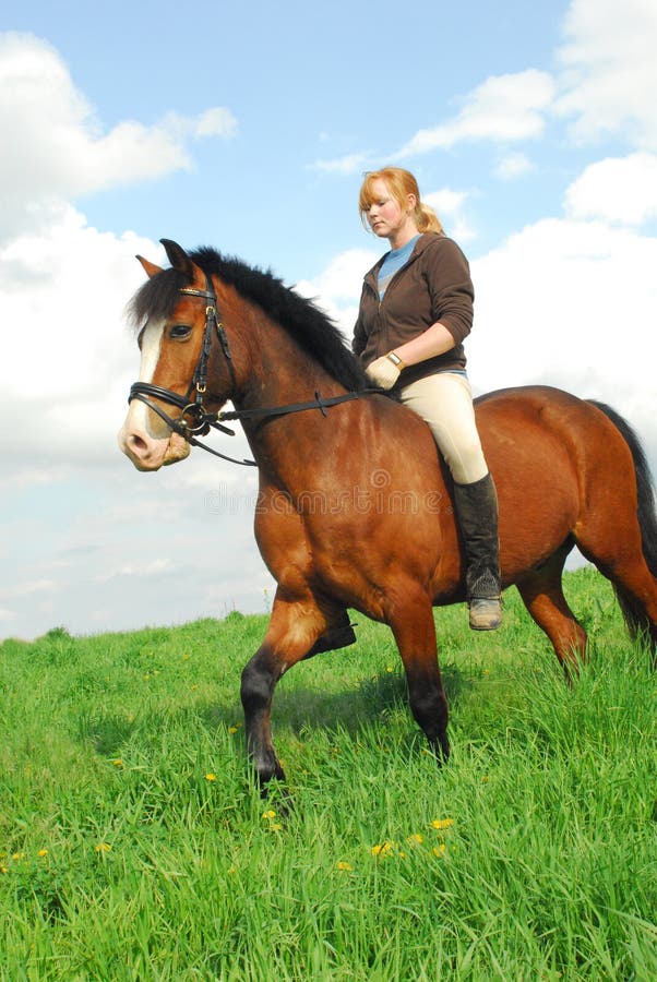 Horseback riding stock image. Image of equine, riding - 15416149
