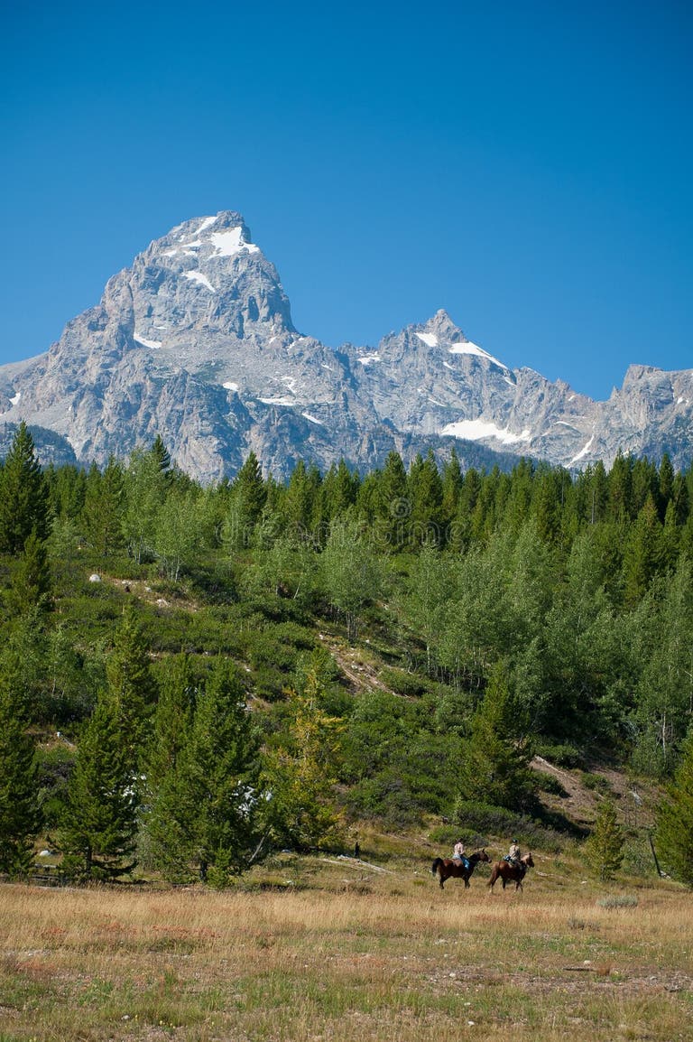 Alpine Horseback Riding Stock Photos - Free & Royalty-Free Stock Photos ...