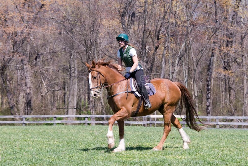 Horseback riding stock image. Image of equine, riding - 15416149