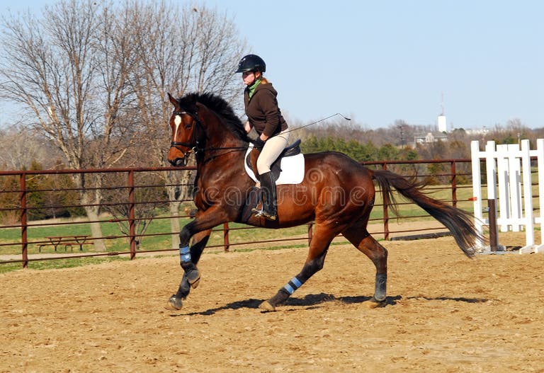 Horseback riding stock photo. Image of horseback, crop - 4886922