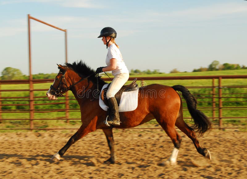 Horseback riding stock photo. Image of horse, animal, woman - 5250018