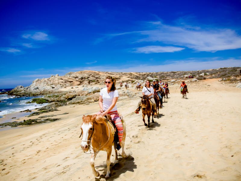 Horseback Riding on the Beach Editorial Photo - Image of farm, tour ...
