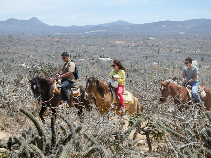 Horseback Riding on the Beach Editorial Stock Image - Image of mexican ...