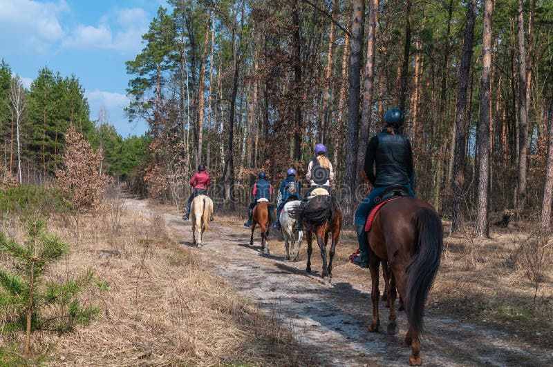 Horseback Riding. Horseback Riding in the Forest Stock Photo - Image of ...
