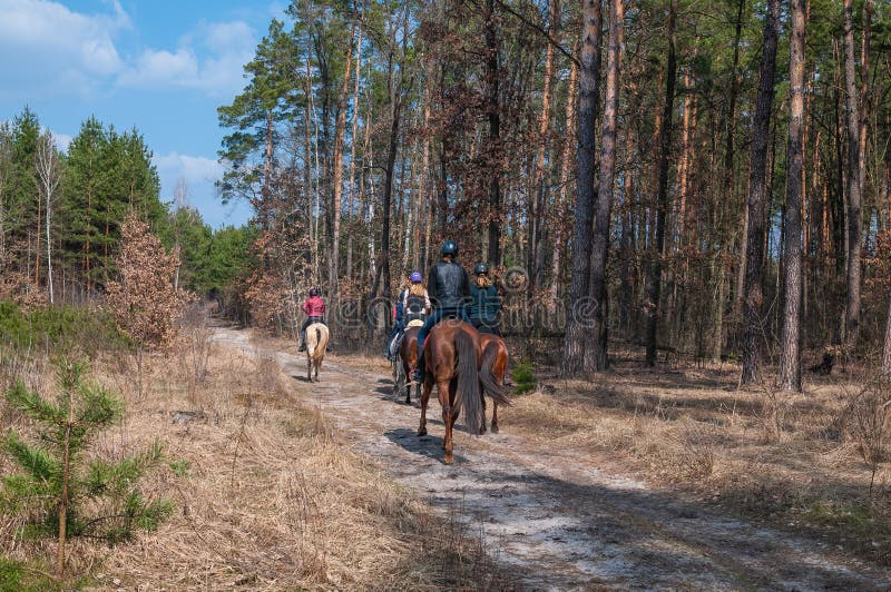 Horseback Riding. Horseback Riding in the Forest Stock Image - Image of ...