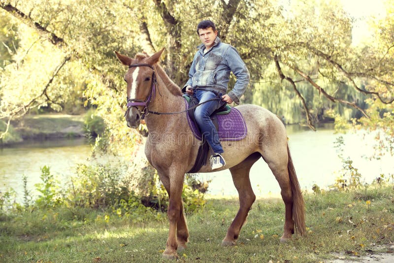 Horseback riding stock photo. Image of center, exercise - 45561282