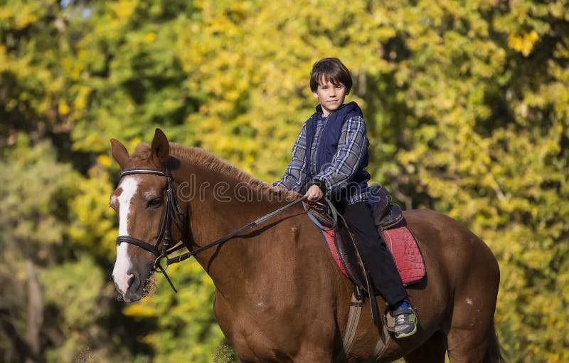 Horseback riding stock photo. Image of forest, energy - 47207186
