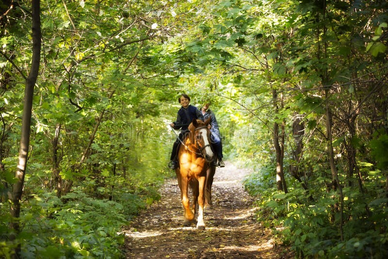 Man Horseback Riding stock image. Image of gravel, leafs - 1256807
