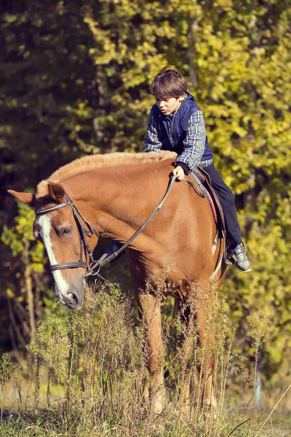 Horseback riding stock photo. Image of center, passion - 57962756