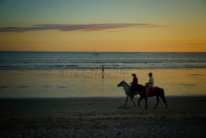 Sunset 1 stock image. Image of beach, contrast, horses - 1369973