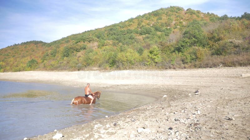 Horseback Riding in the Mountains , Swimming in the Lake Stock Video ...