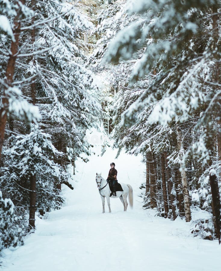 Horseback Riding on Nesodden Stock Image - Image of horseback, forest ...