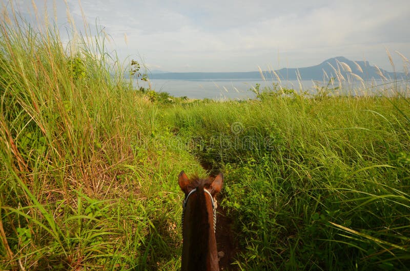 Horseback stock image. Image of mare, horseback, vacation - 37655029