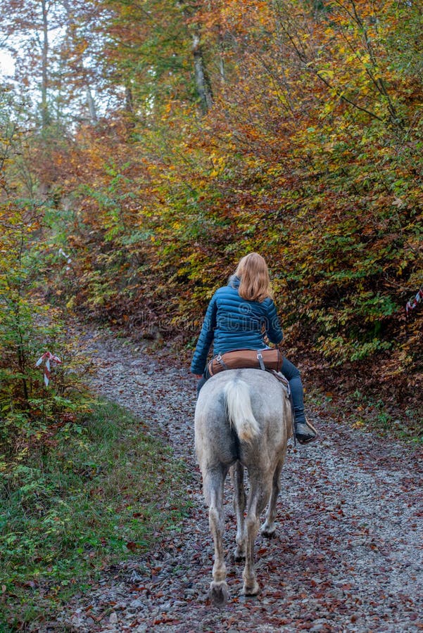 Horseback Riding in the Woods Stock Illustration - Illustration of ...