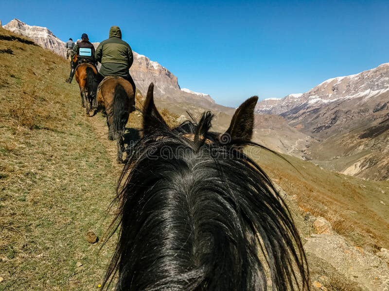 Horseback View from the First Person Opens a Review of the Riders in ...