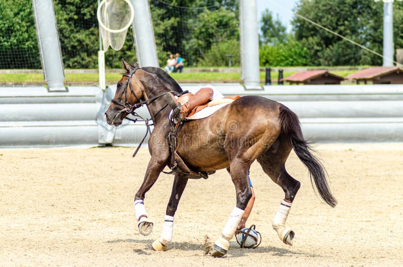 A Horseball Player Catching the Ball from the Ground Stock Photo ...