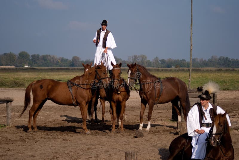 Horsemen, Bugac, Hungary editorial image. Image of cultural - 16511975