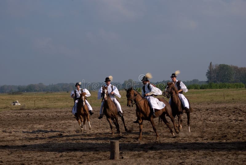 Horsemen, Bugac, Hungary editorial image. Image of cultural - 16511975