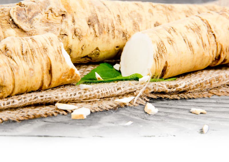 Horse Radish Tree, Drumstick (Moringa Oleifera Lam.). Stock Photo ...