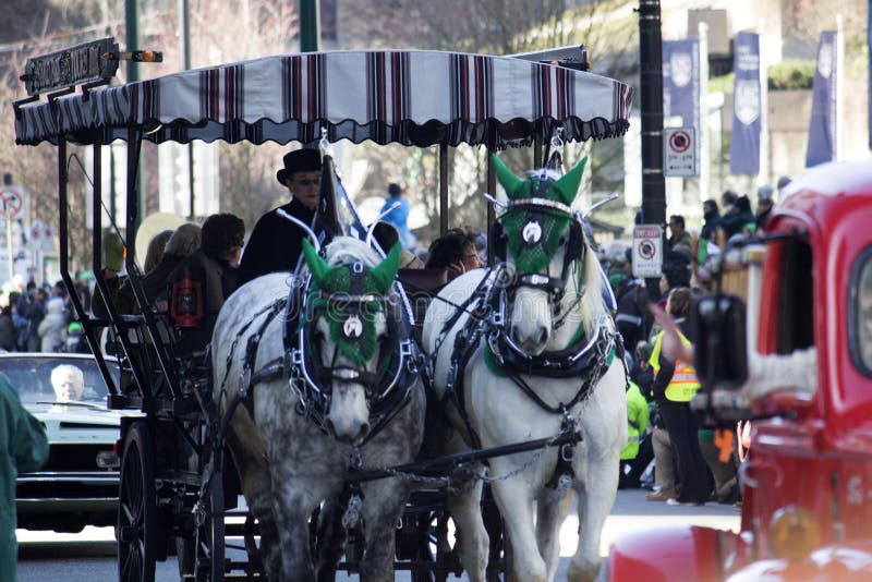 Horses and Carriage at St.patrick S Day Parade Editorial Stock Photo ...