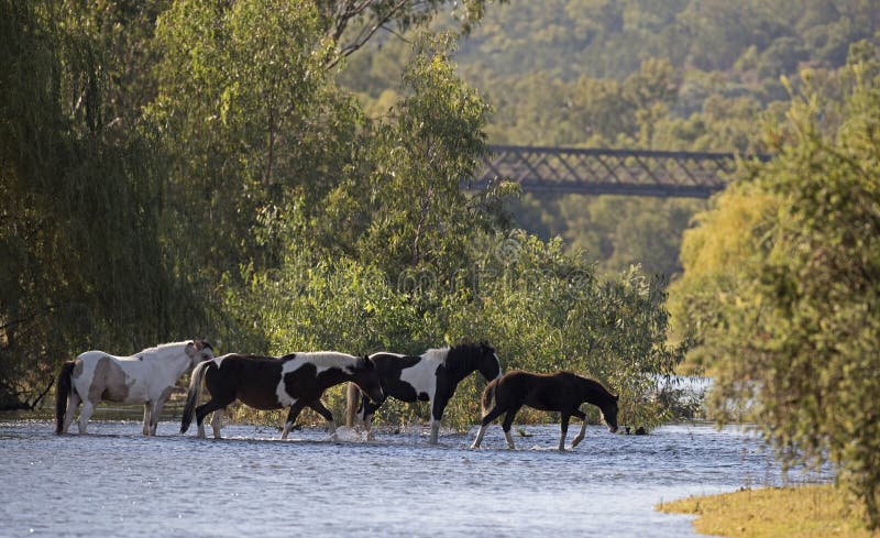 Bingara Bridge Stock Photos - Free & Royalty-Free Stock Photos from ...