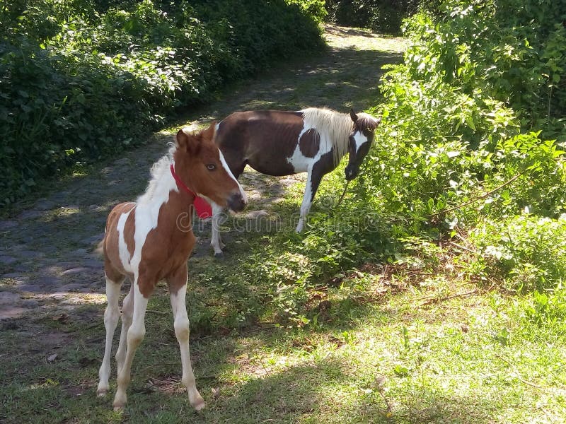Chinchontepeque Volcano Stock Photos - Free & Royalty-Free Stock Photos ...