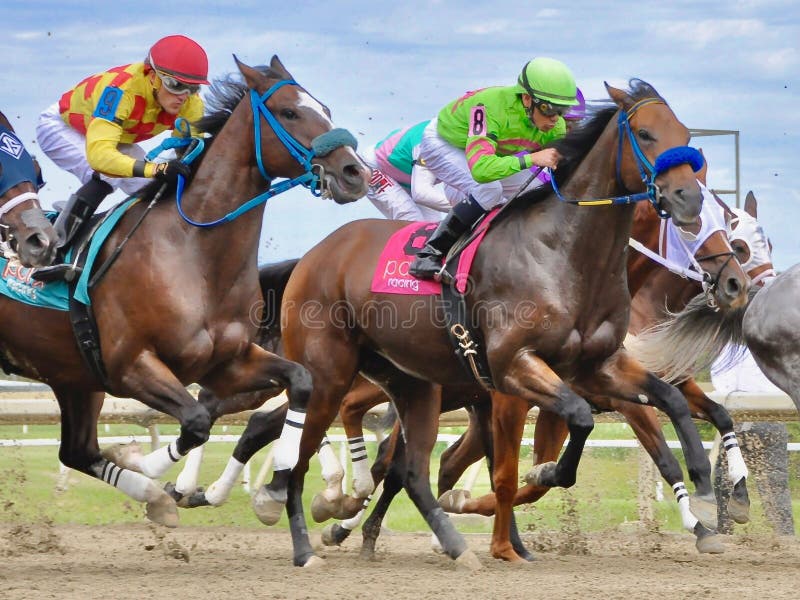 Breaking from the Gate editorial photography. Image of horses - 132041127