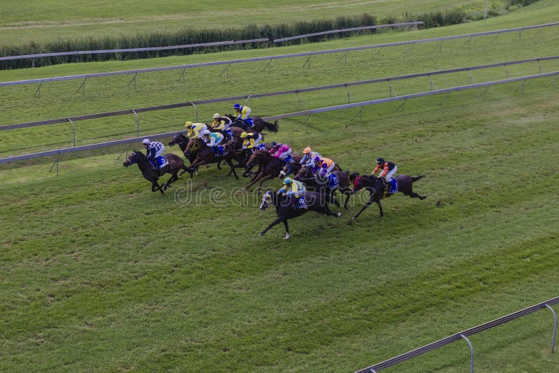 105 Horse Race Overhead Stock Photos - Free & Royalty-Free Stock Photos ...