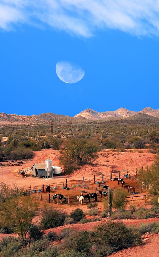 Western Corral stock image. Image of country, abandoned - 9053367