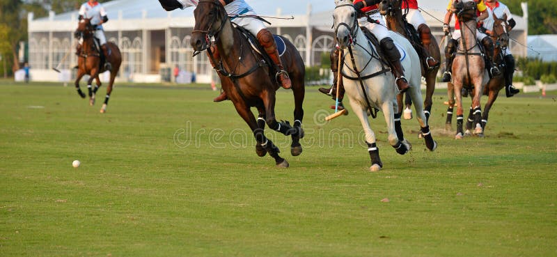 Horses and Polo Players in Match. Editorial Photography - Image of ...