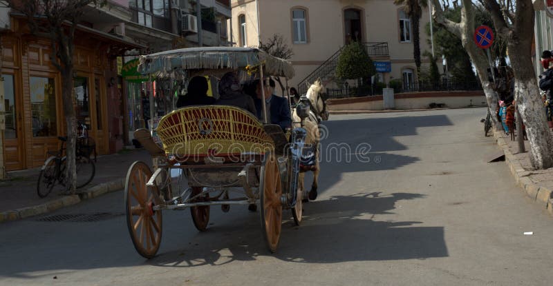154 Horses Horse Float Stock Photos - Free & Royalty-Free Stock Photos ...