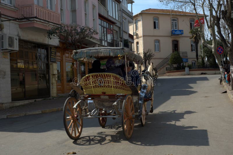 154 Horses Horse Float Stock Photos - Free & Royalty-Free Stock Photos ...