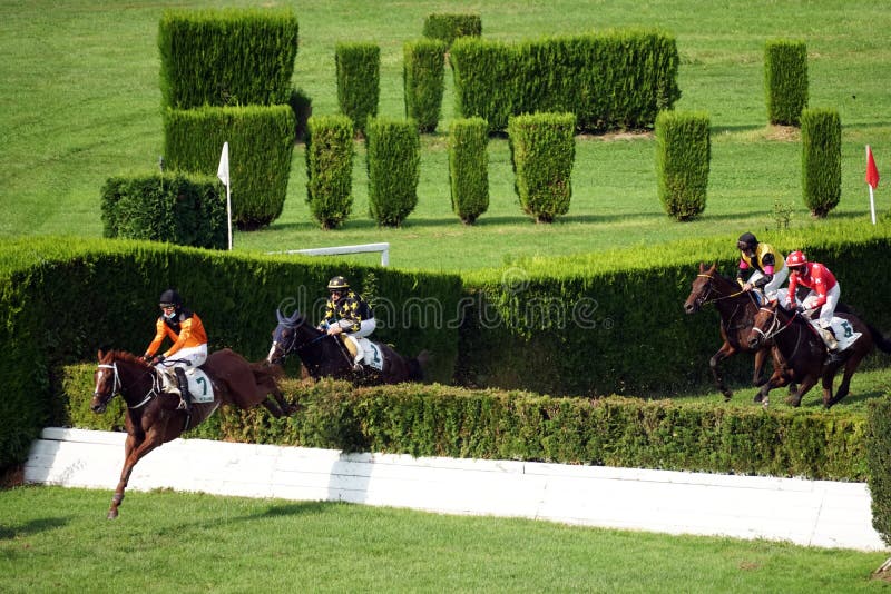 Horses Race Round Track With 3 In Front Running Editorial Photography ...