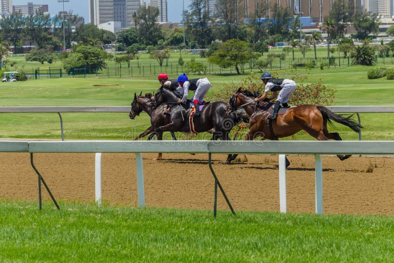 Horses Racing Golf Course Tracks Editorial Stock Image - Image of ...