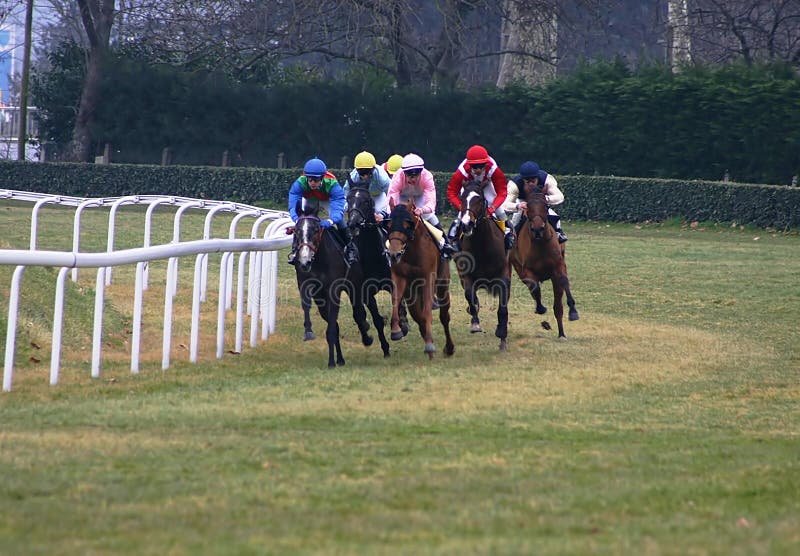 Two horses racing stock photo. Image of competition, leading - 14477590