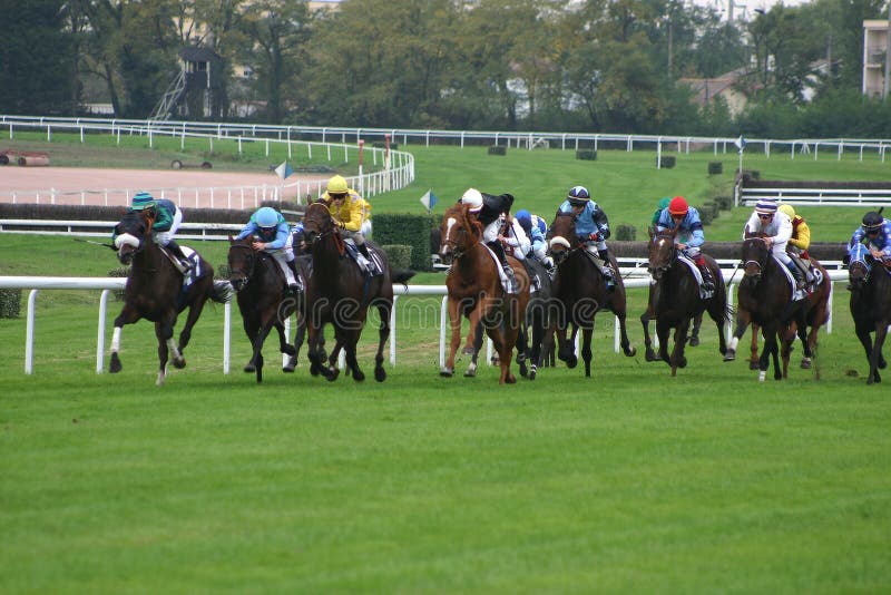 Two horses racing stock photo. Image of competition, leading - 14477590