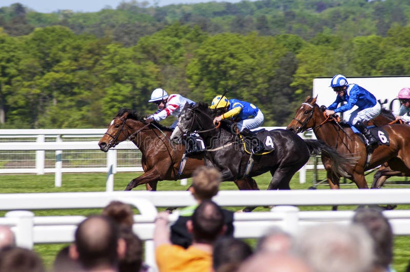 Horses racing editorial photography. Image of strong - 42809517