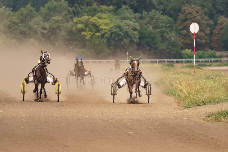 Two horses racing stock photo. Image of competition, leading - 14477590