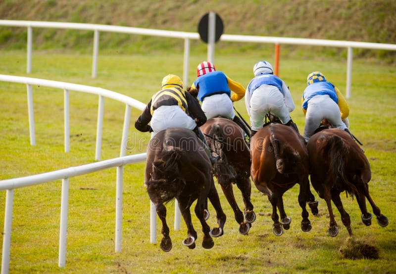 Two horses racing stock photo. Image of competition, leading - 14477590