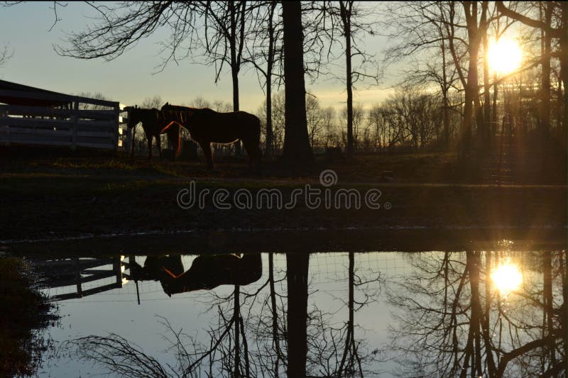 A Beautiful Morning in Our Ranch Stock Image - Image of beautiful ...