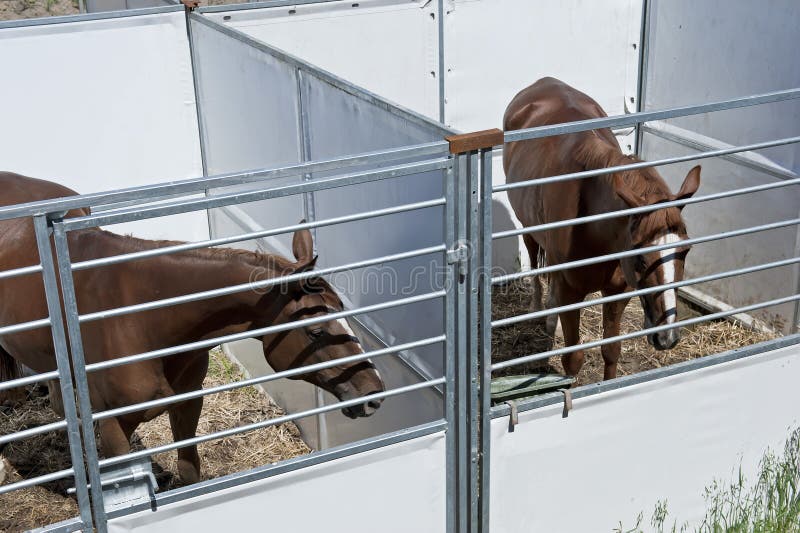 Open-air stable stock photo. Image of equestrian, breed - 20835354