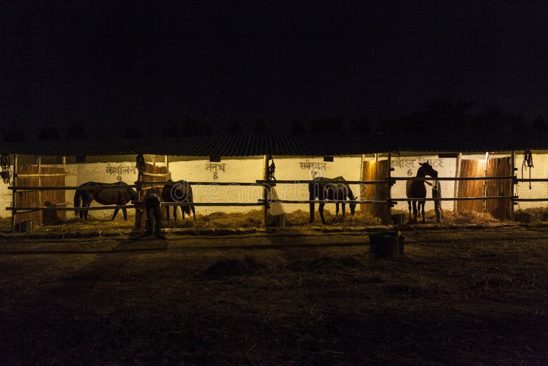 Horses in the Stable at Night Stock Photo - Image of person, home: 58256270
