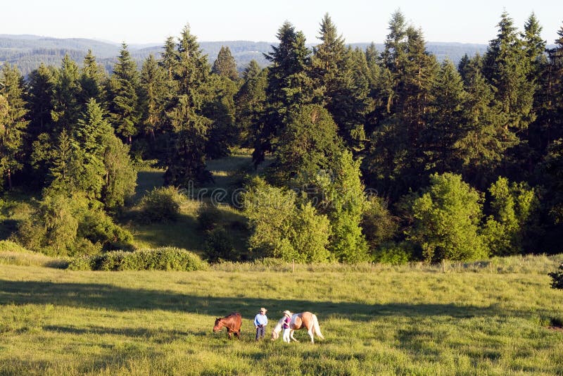 Horses with Trainers in Grass - Horizontal Stock Photo - Image of calm ...