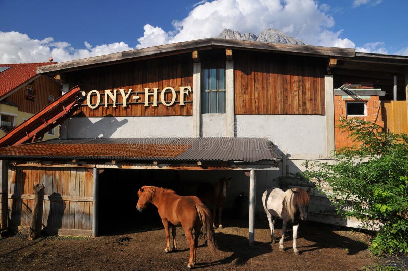 Horses in Tyrol barn stock image. Image of nature, animal - 11025667