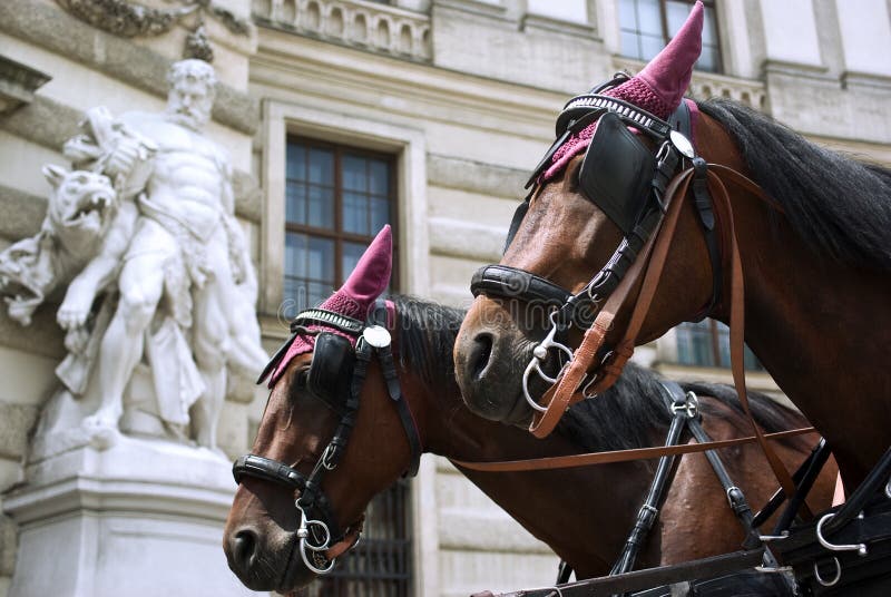 Horses in Love stock photo. Image of people, garden, farm - 17955556
