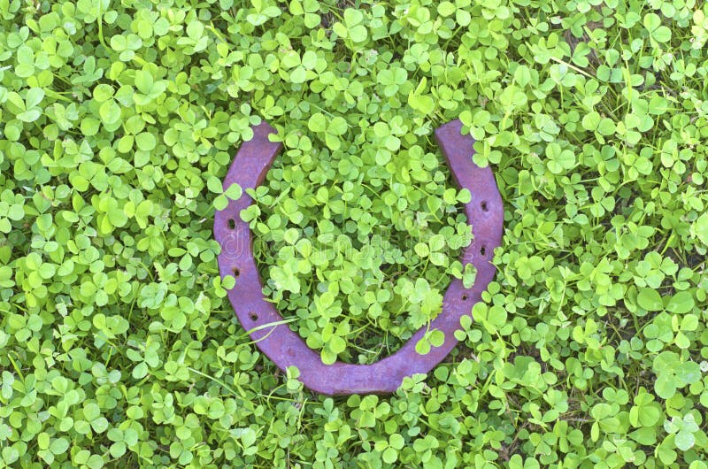 Horseshoe clover stock image. Image of meadow, happiness - 59611487